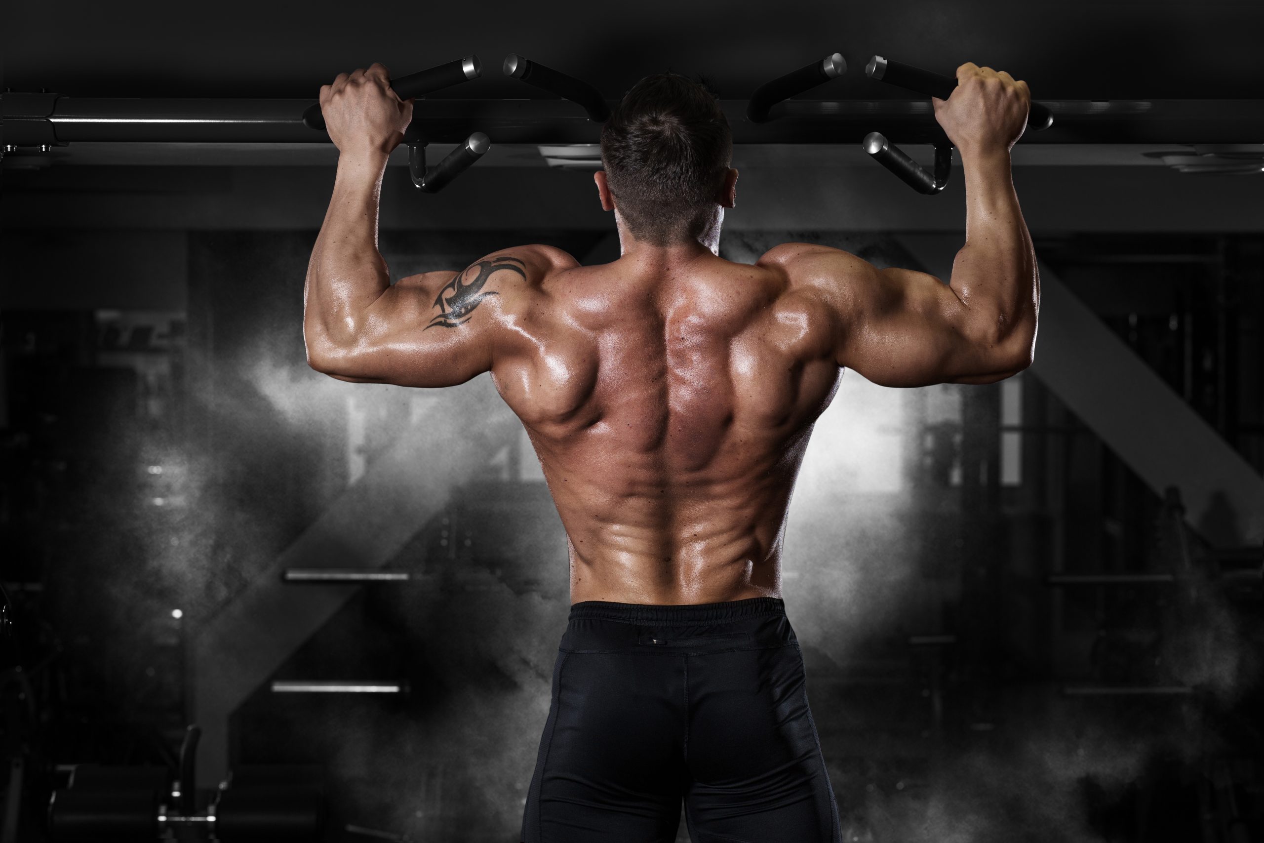 CARVE Out Killer Back Muscles with Body Weight | Critical Bench