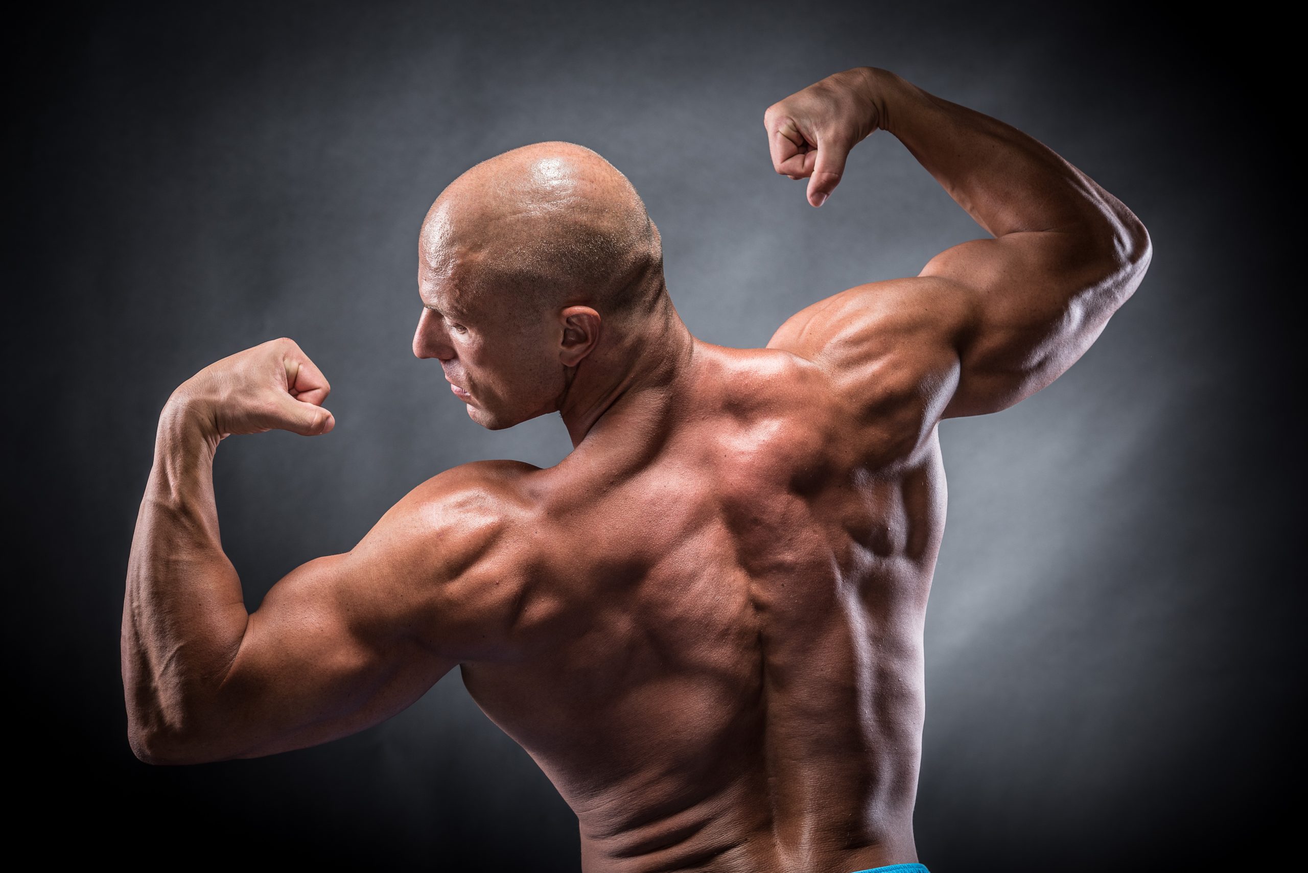 Your Body’s Hidden Hunger Hormone with Ryan Faehnle Part 1 | Critical Bench